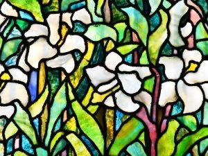 Agnes Northrop: Tiffany Stained-Glass Artist - Green-Wood