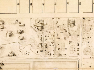 A Force to Reckon With: Elizabeth Gloucester - Green-Wood